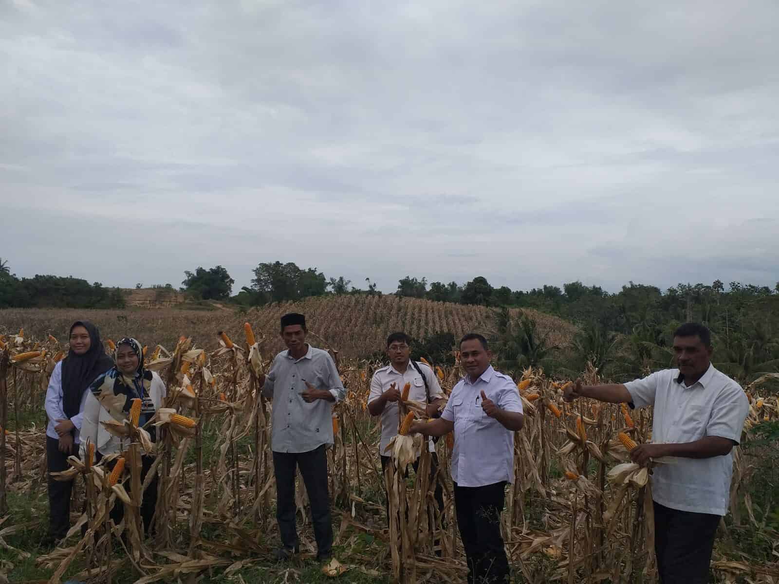 Pemetaan Potensi SDM dan SDA Kawasan Tanaman Terlarang di Provinsi Aceh