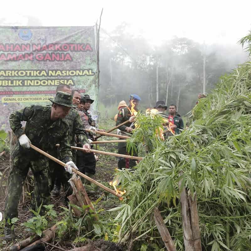 Pemkot Surabaya bersinergi berantas narkoba. Pemkot Surabaya bersinergi berantas narkoba.